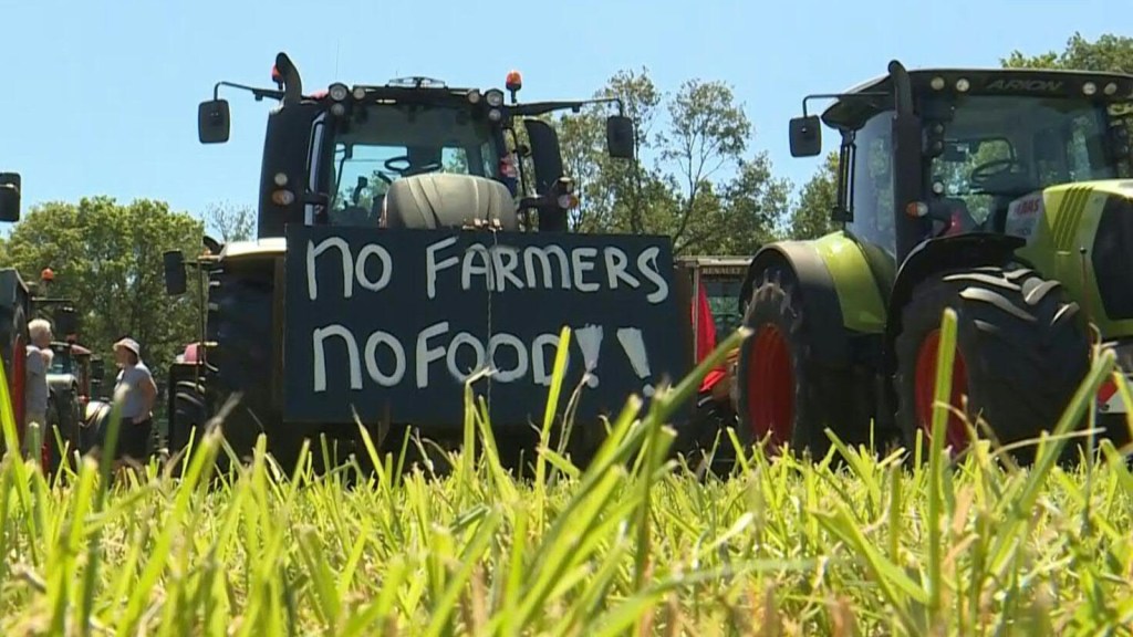 Analysis: Viral social media posts about Dutch farmers’ protests ...